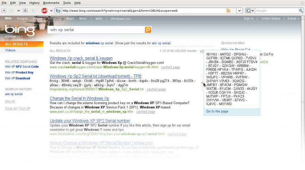Bing – Panchosoft Blog